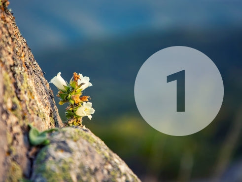 What is the significance of 1 in numerology? – Hoseiki Jewelry