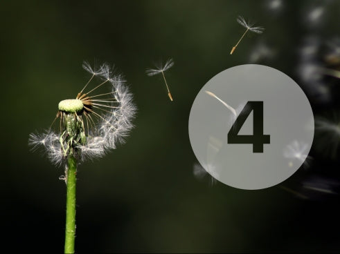 What is the significance of 4 in numerology? – Hoseiki Jewelry