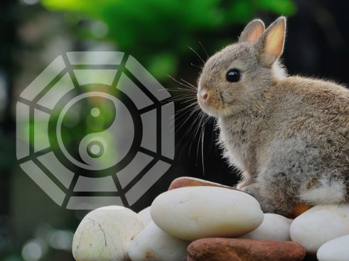 What Does Rabbit Mean in Bazi Chart? – Hoseiki Jewelry